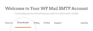 Installing the Plugin - WP Mail SMTP
