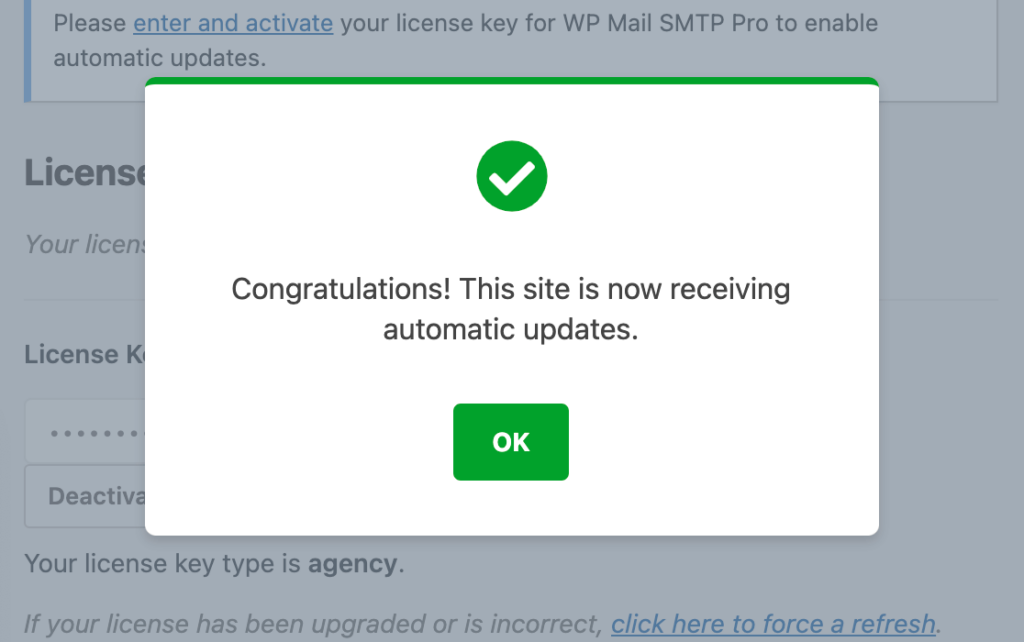 Verifying Your License - WP Mail SMTP