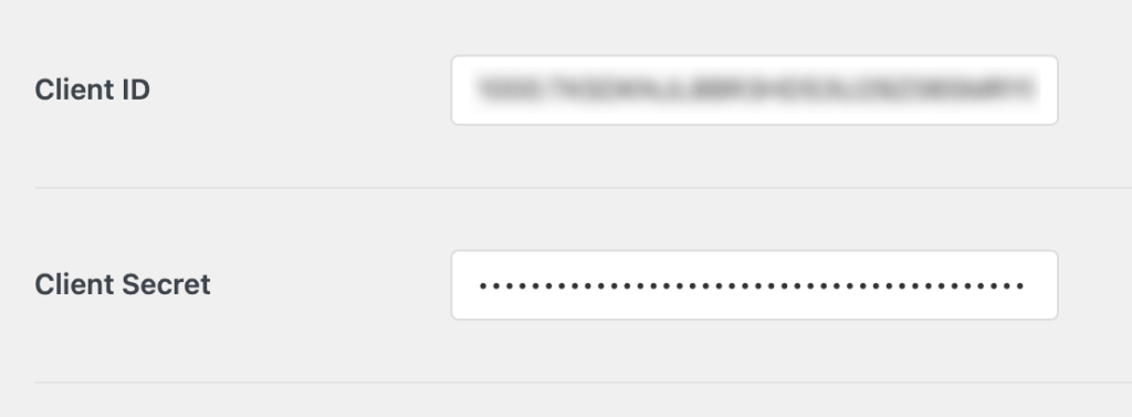 How to Set Up the Zoho Mailer Mailer