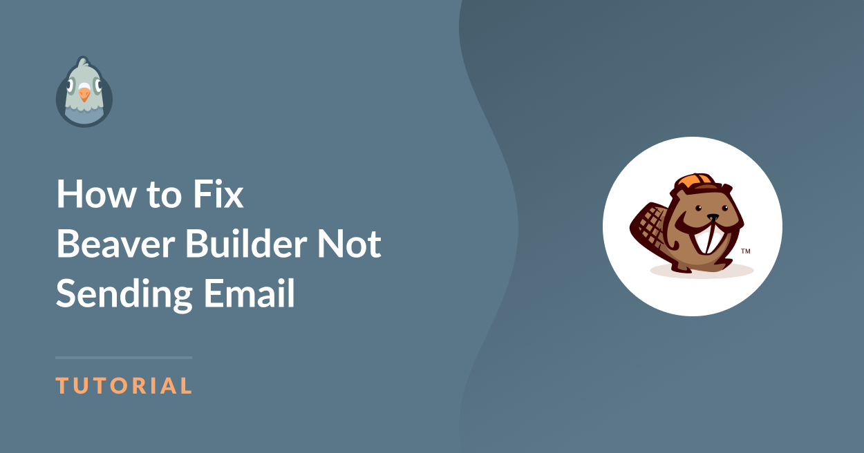 How To Fix Beaver Builder Contact Form Not Sending Email (2025)
