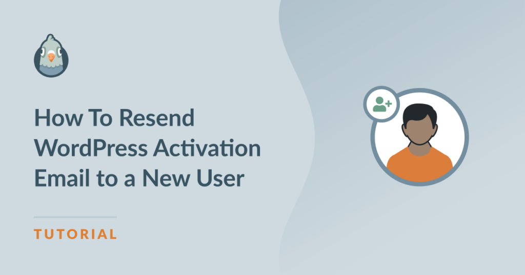How To Resend New User Activation Email in WordPress [The EASY Way]