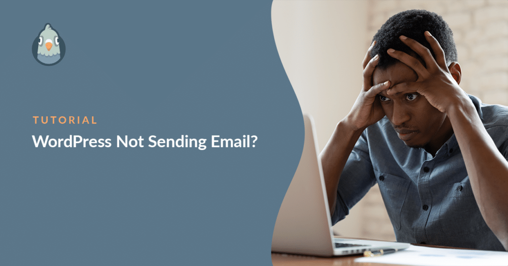 How To Fix WordPress Not Sending Emails In 2023