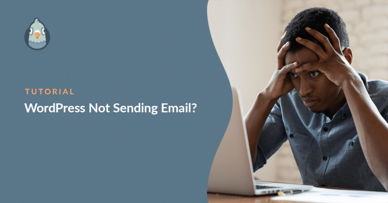 How To Fix WordPress Not Sending Emails In 2023