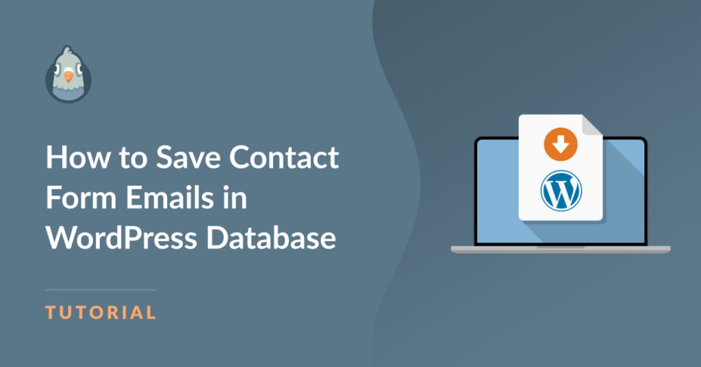 How to Save Contact Form Emails in WordPress Database