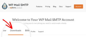 Installing the Plugin - WP Mail SMTP