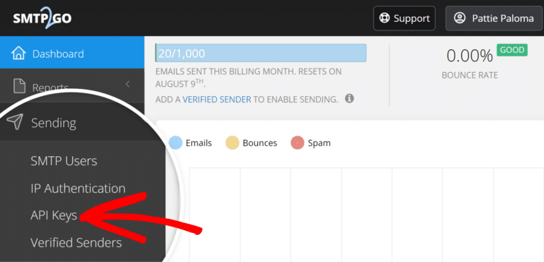 SMTP2GO - WP Mail SMTP