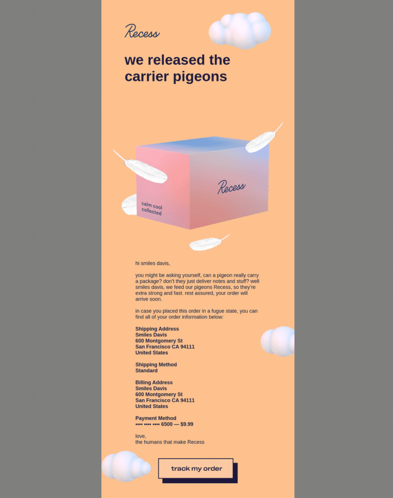 10 Order Confirmation Email Examples to Impress Customers