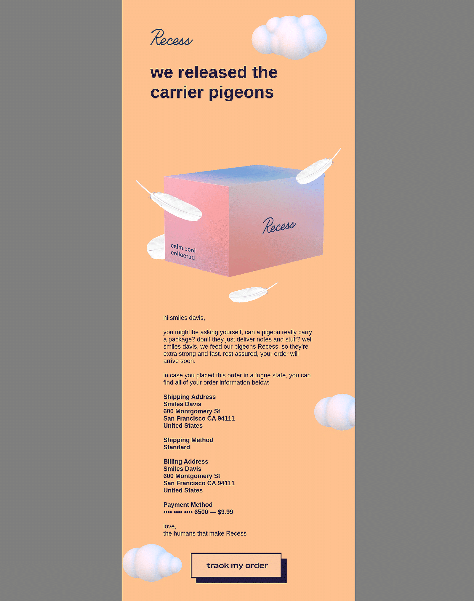 10 exemplos de e-mails de confirmação de encomenda para impressionar os ...