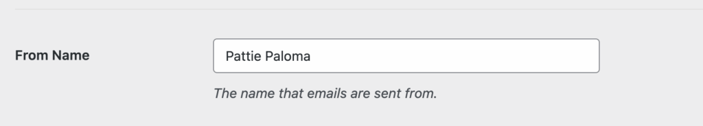 MailerSend - WP Mail SMTP